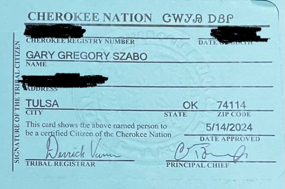 The Quest for the Blue Card – Your Part-Time CIO